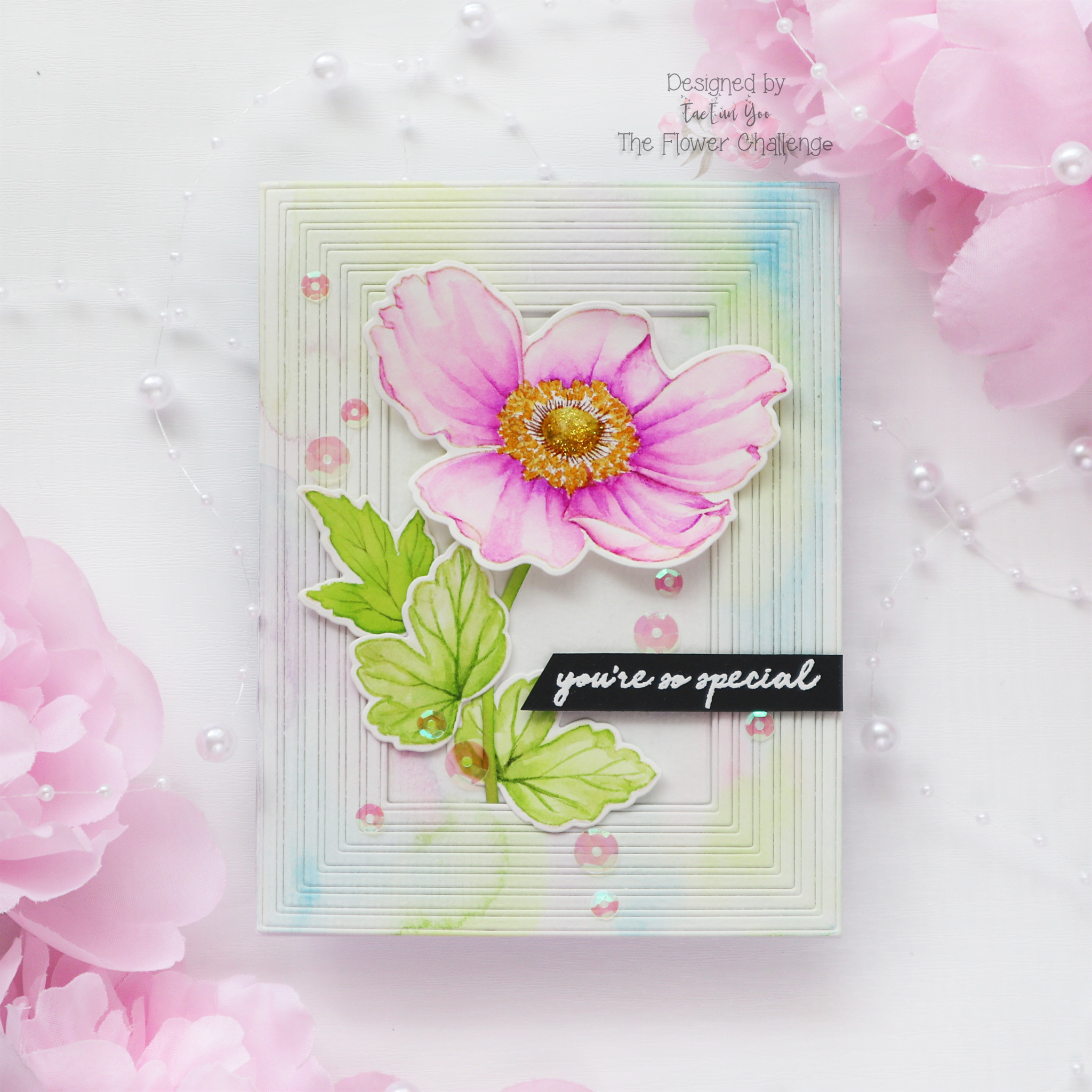 The Flower Challenge #55 – Pretty Pastels – rainbow in november