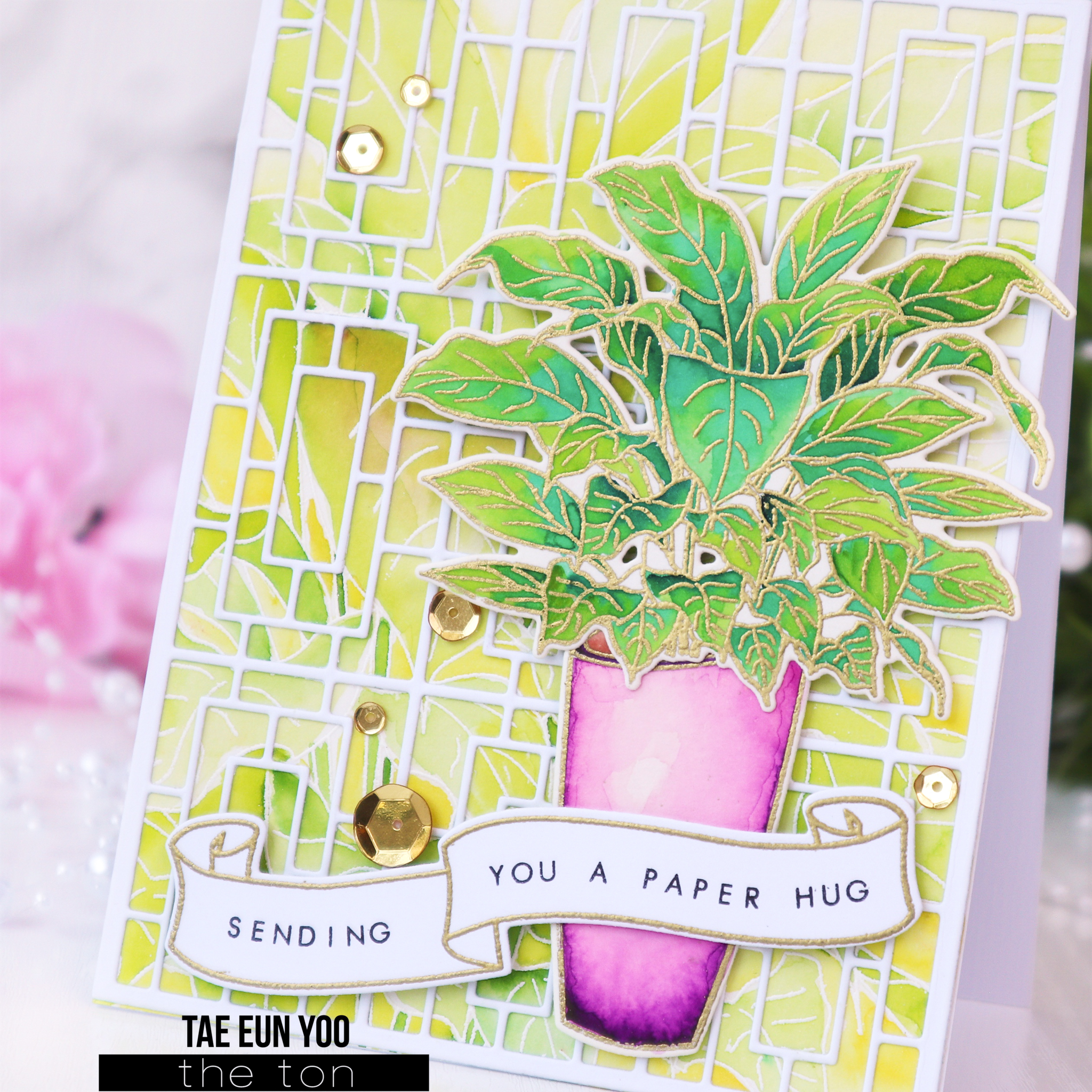 The Ton Summer 2021 Release – rainbow in november